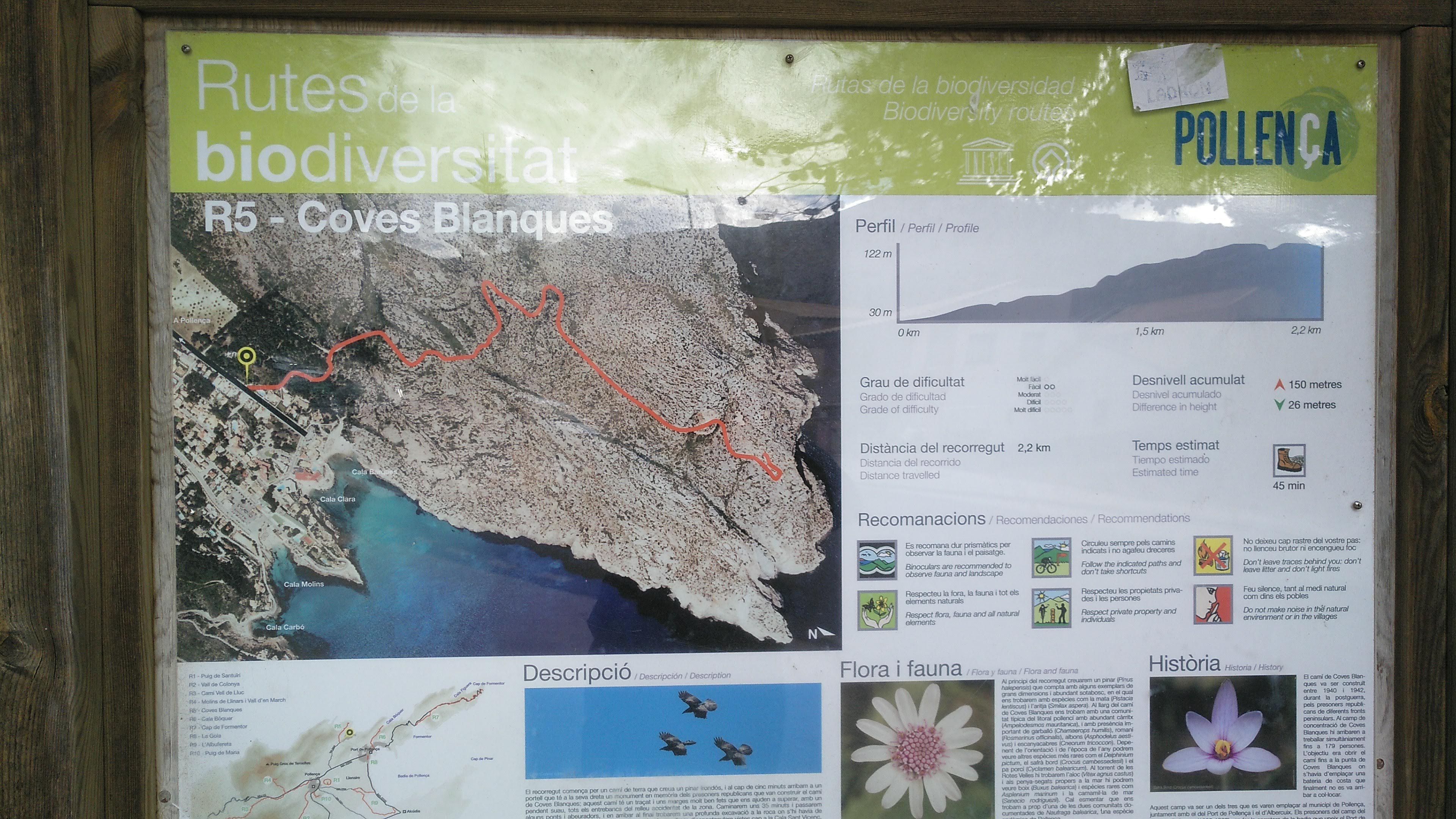 Camino de ses Coves Blanques y Necrópolis de L’Alzinaret ...